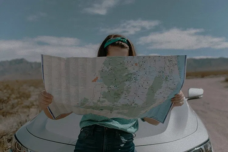 Paper Driver's Licence Translation - lingoking